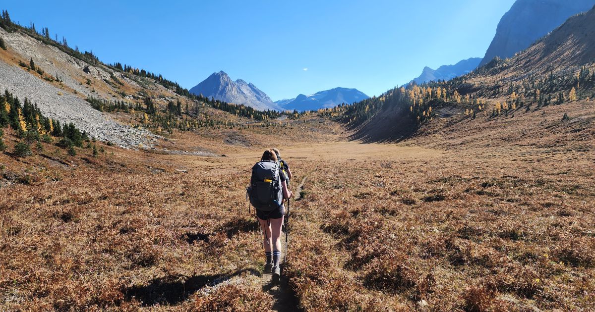 A Student-Led Experience Leads to Lasting Impacts